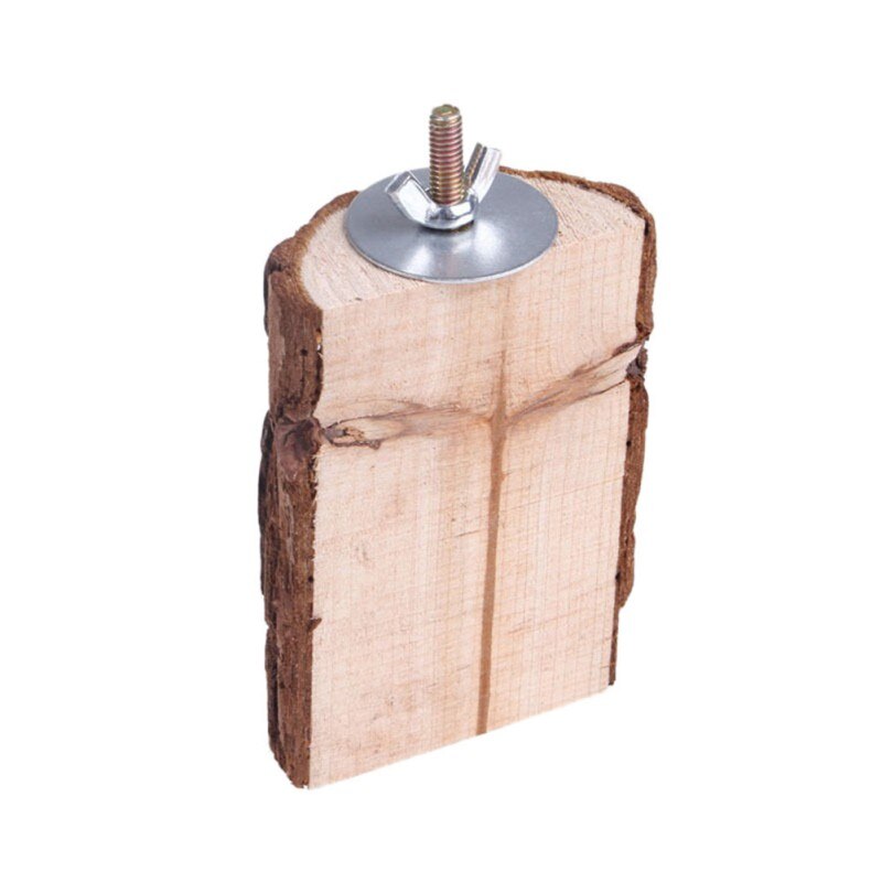 Bird Accessories Wooden Pet Parrot Squirrel Bird L... – Grandado