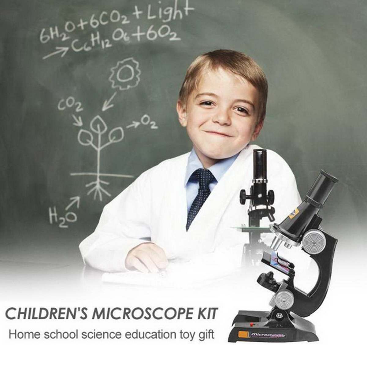 1200x Early Childhood Science Popular Children's T... – Grandado