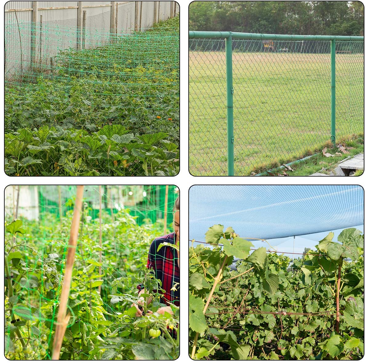 Nylon Net Morning Glory Flower Vine Netting Suppor... – Grandado