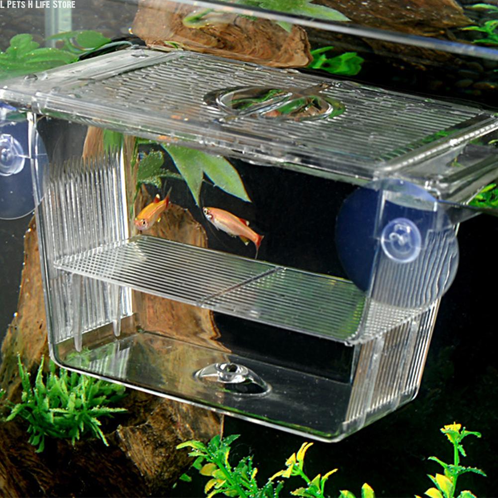 Guppies disease fish isolation box Transparent ABS... – Vicedeal