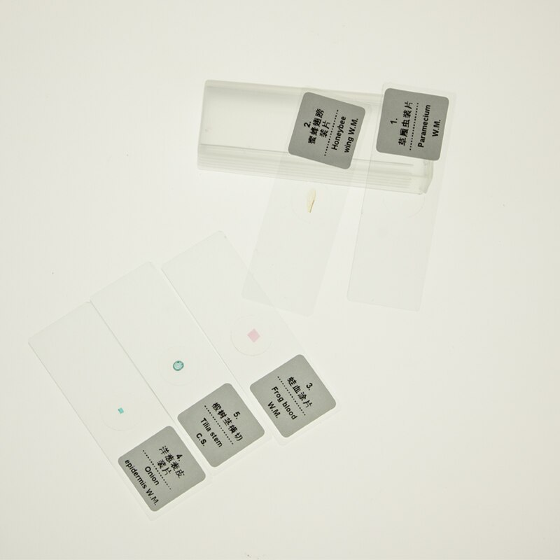 5 Piece Glass Microscope Prepared Slides for Patho... – Vicedeal