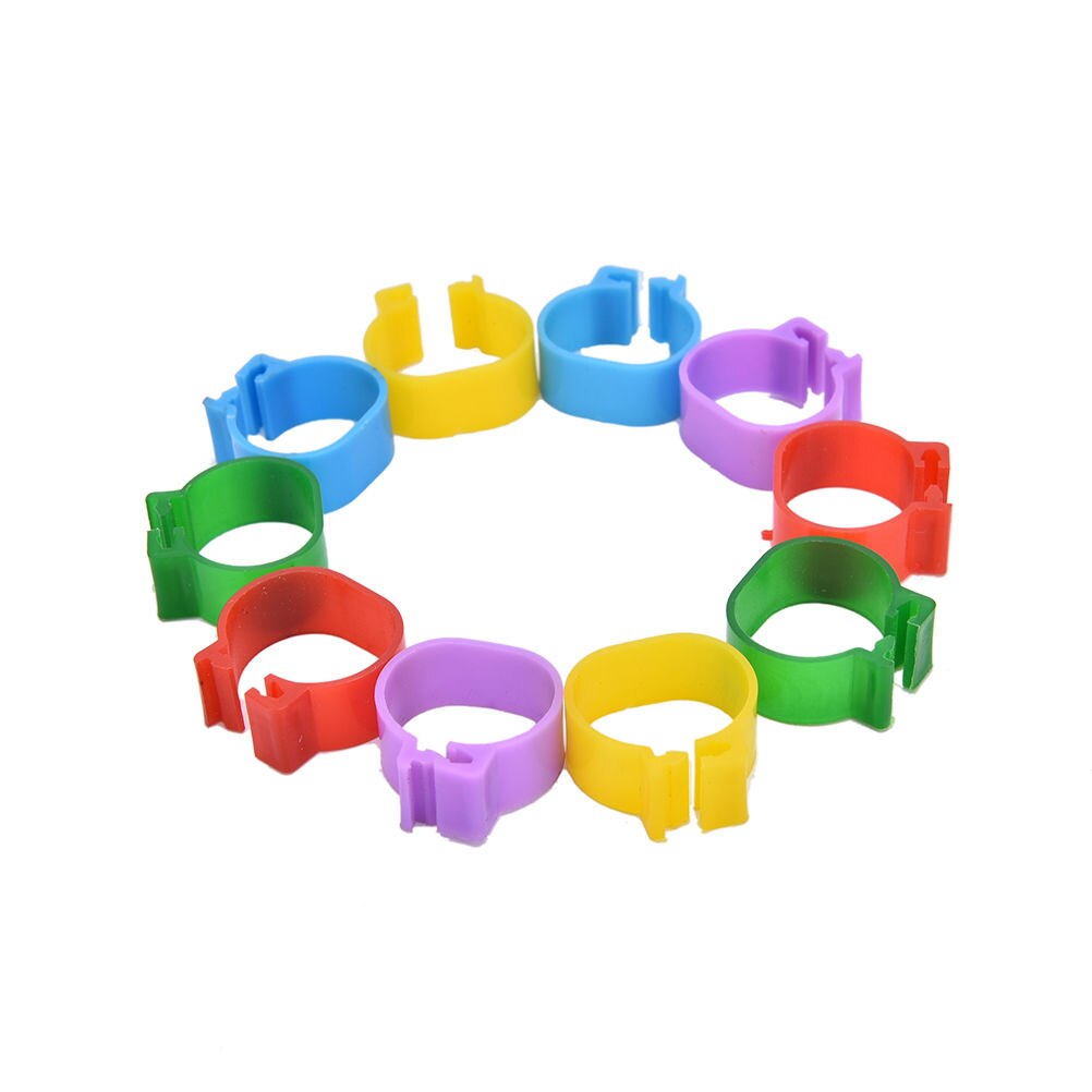 100 pcs/lot Chicken Leg Bands Chicken Poultry Ring... – Vicedeal