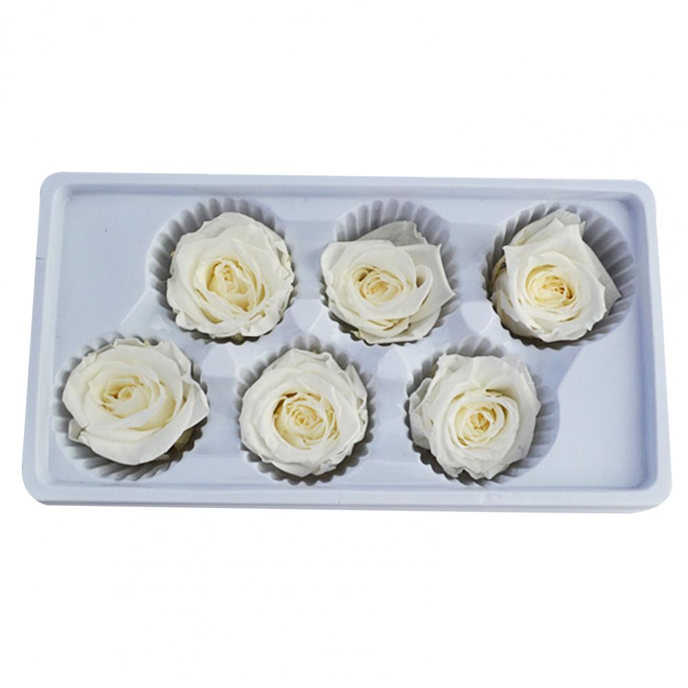 6PCs/Box Preserved Fresh Rose Flower Heads Class B... – Grandado