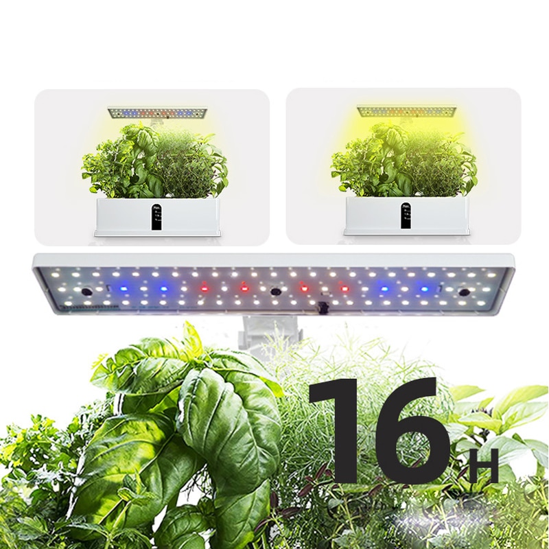 Hydroponics Growing System Indoor Smart Automatic ... – Grandado
