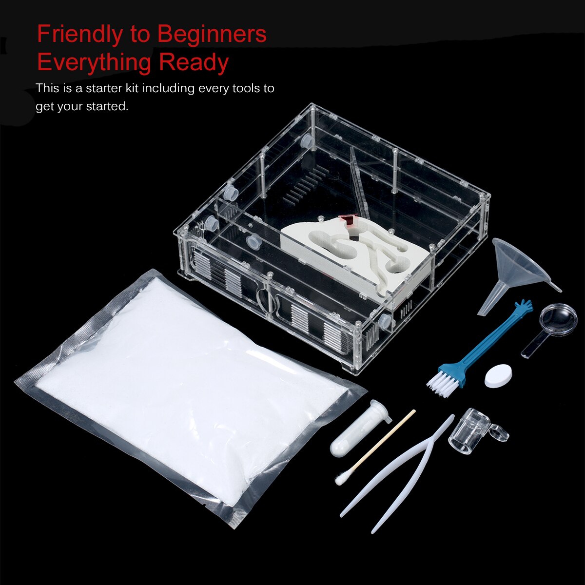 Ant Farm Starter Kit Ant Habitat Science Kit STEM ... – Grandado