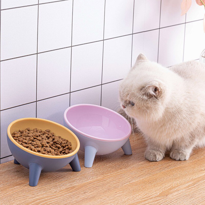 Cat Dog Bowl 15 Degrees Raised Plastic Cat Bowls S... – Vicedeal