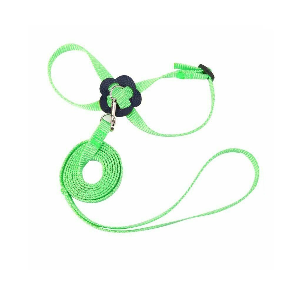 Adjustable Parrot Bird Harness Leash Outdoor Train... – Grandado