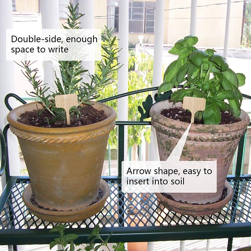 -50Pcs Bamboe Plant Label Bamboe Insert Bamboe Blo... – Vicedeal