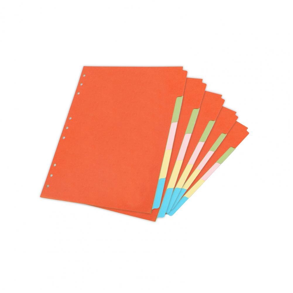 5Pcs Binder Dividers Useful Quick Easy Identificat... – Grandado