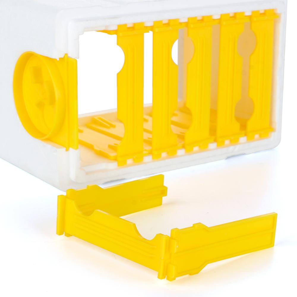 Single Layer Foam Box Harvest Bee Hive Beekeeping ... – Grandado