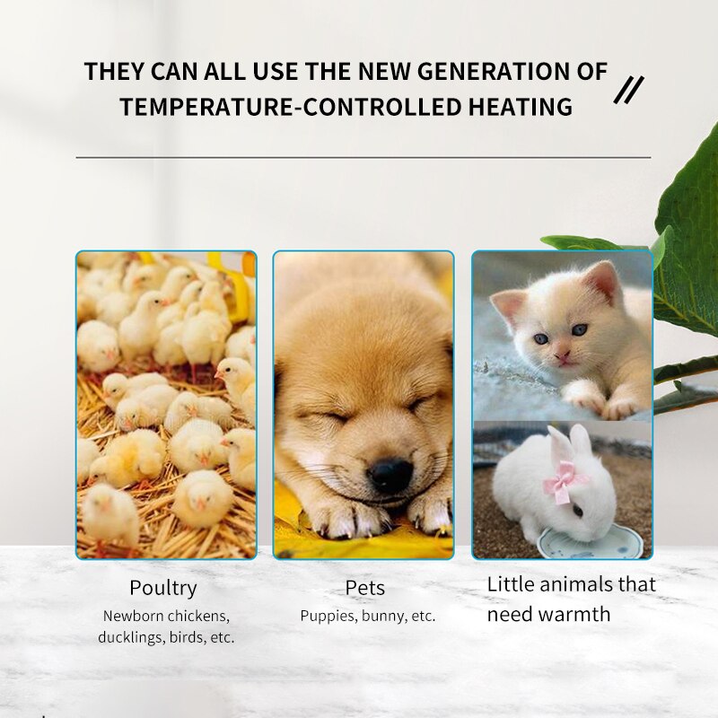 Multifunctional LED Heating Lamp Portable Animal W... – Grandado