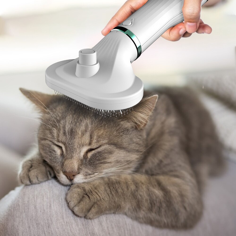 100-240V 2-In-1 Portable Dog Dryer Dog Hair Dryer ... – Grandado