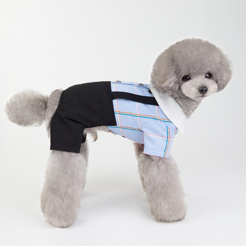 Mode Elegante Plaid Puppy Hond Jumpsuit Rompertjes... – Vicedeal
