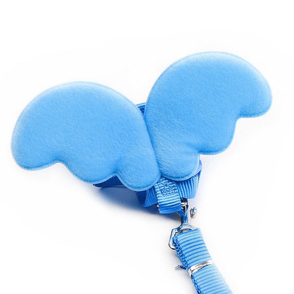 Cute Angel Pet Dog Leashes and Collars Set Puppy L... – Grandado