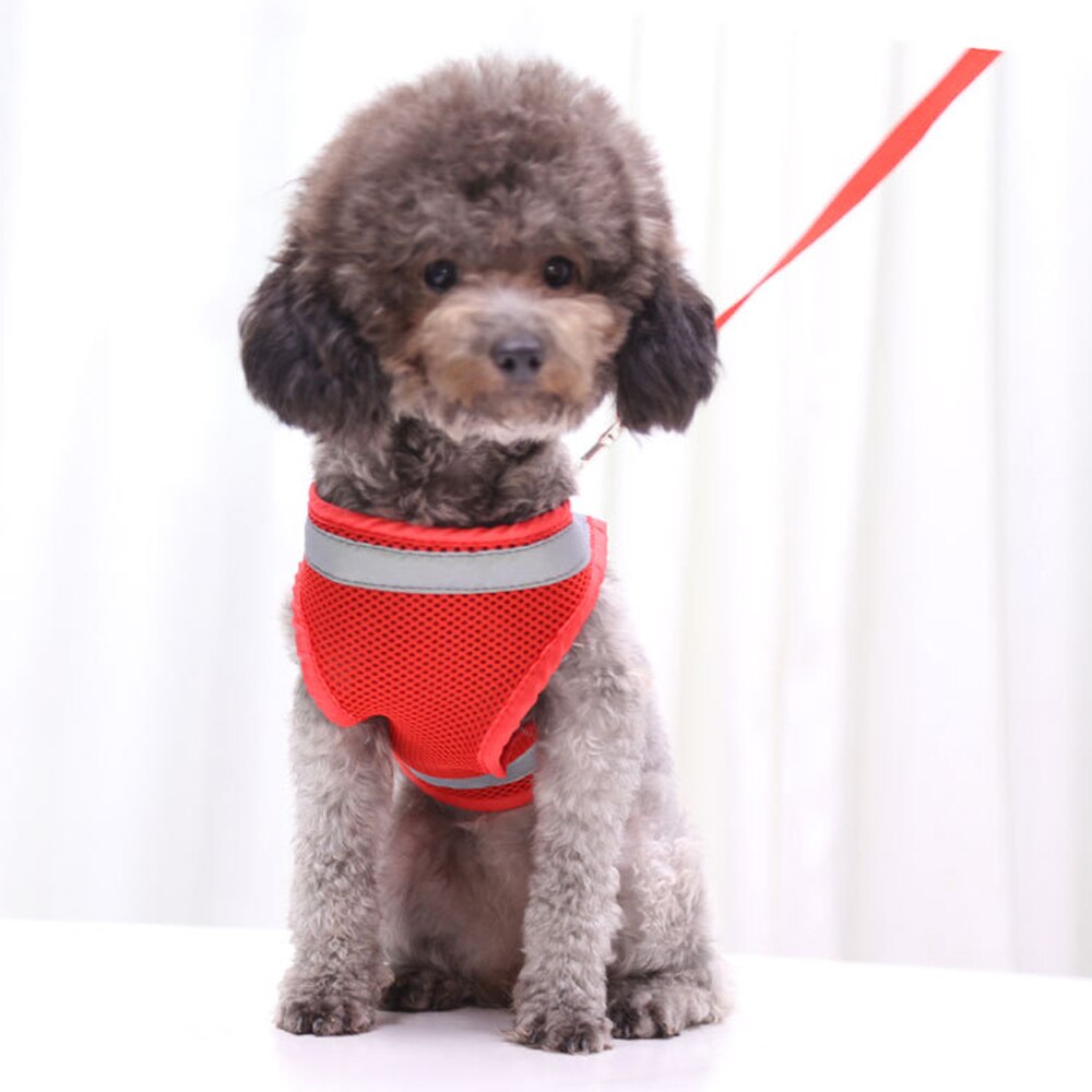 Small Dog Harness and Leash Set Mesh Reflective Pu... – Grandado