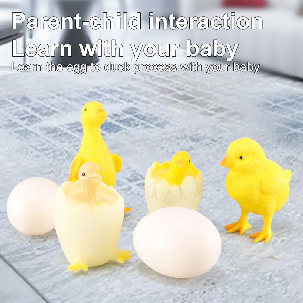 6Pcs/Set Life Cycle Toy Interactive High Imitation... – Vicedeal