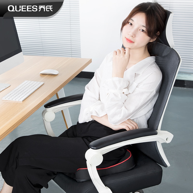 QUEES Luxury Seat Cushion Memory Foam Orthopedic R... – Vicedeal