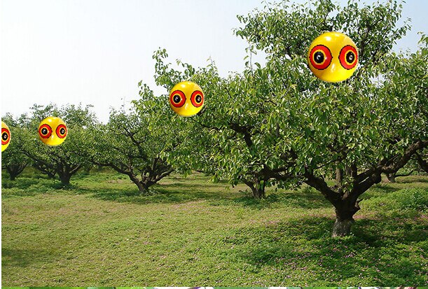 Bird Repellent Scare Eye Balloons Stops Pest Bird ... – Grandado
