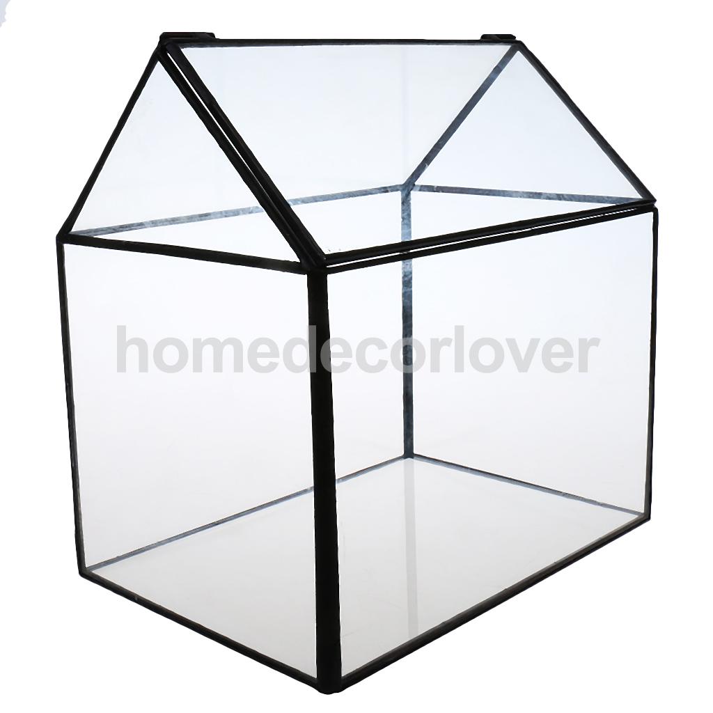 Irregular Glass Geometric Terrarium Box Tabletop S... – Grandado