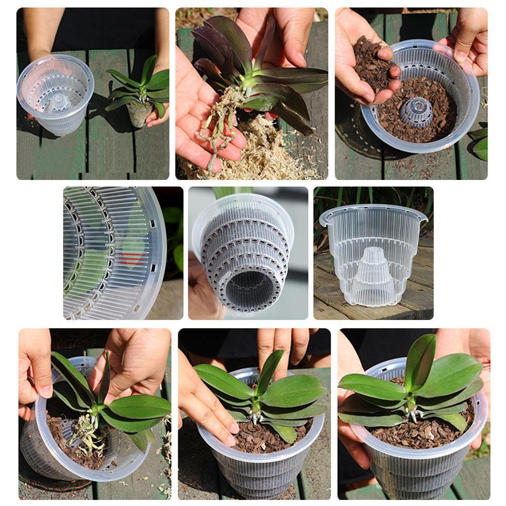 10Cm/12Cm/15Cm Clear Plastic Orchidee Potten Met G... – Vicedeal