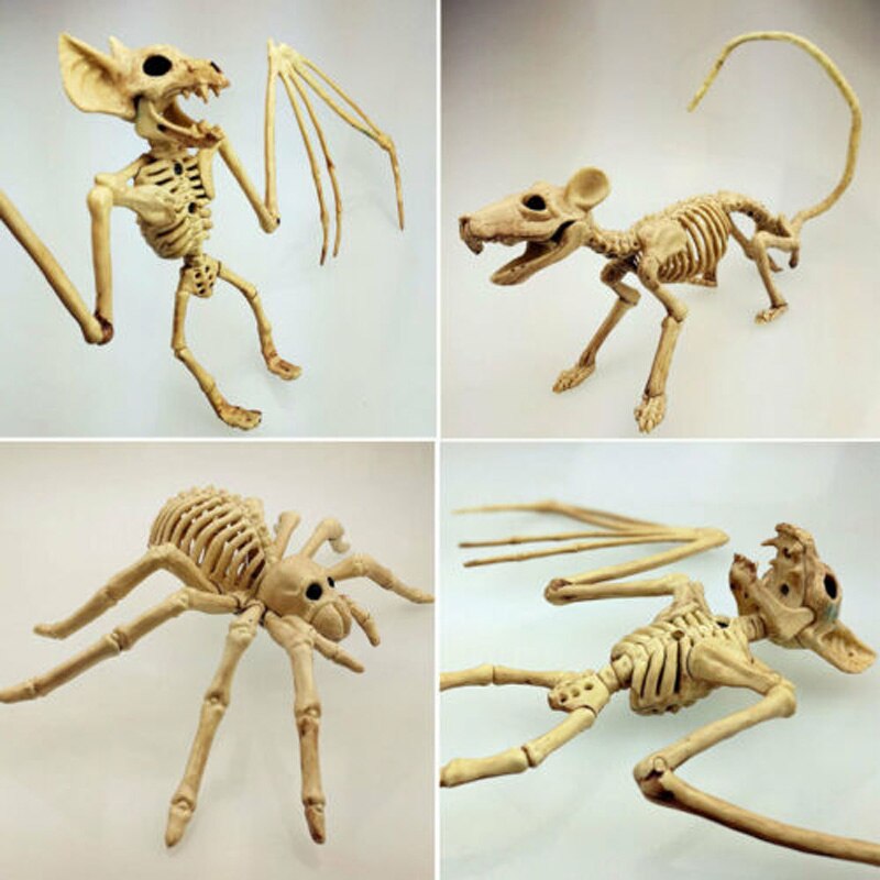 Halloween Skelet Kat Hond Muis Prop Animal Botten ... – Vicedeal
