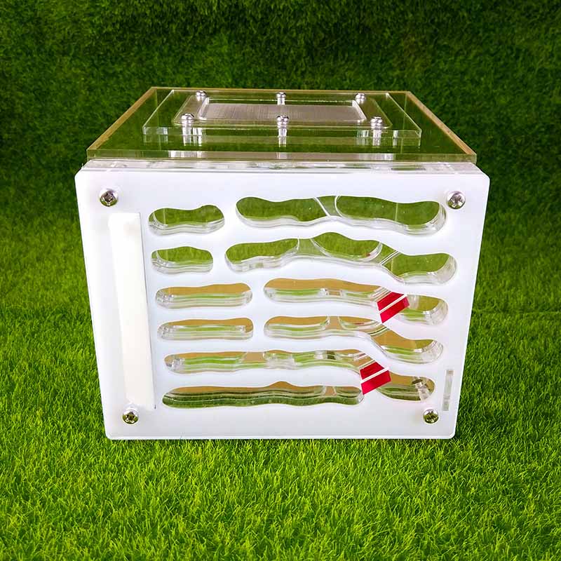Acrylic Large Moisturizing Ant Nest Pet Ant Farm W... – Vicedeal