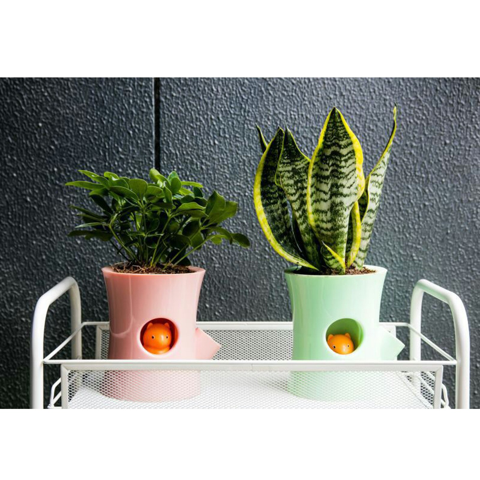 4 # Eekhoorn Automatische Water-Absorberende Lui B... – Vicedeal