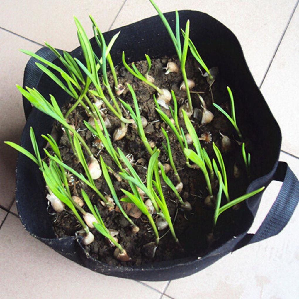 Outdoor Round Flower Planting Bag Green Rim Plant ... – Grandado