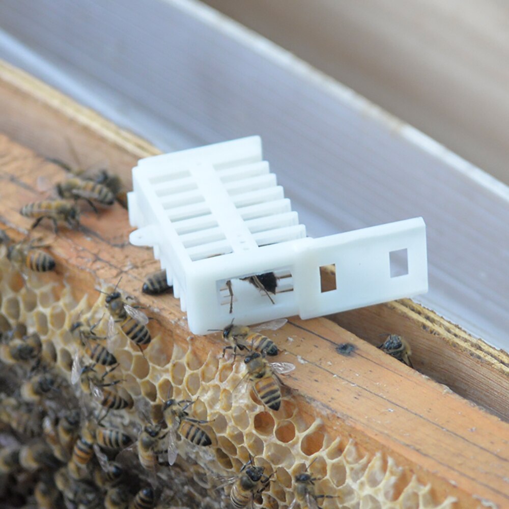 5PCS bee queen cage king cages bees tools equipmen... – Grandado