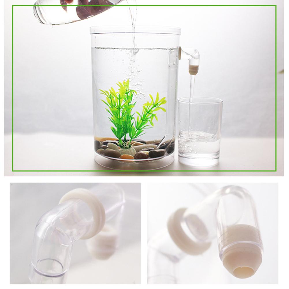 Ecological Fish Bowl Slacker Desktop Goldfish Bowl... – Vicedeal