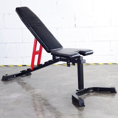 Multifunctional Training Chair Abdominal Muscle Bo... – Vicedeal