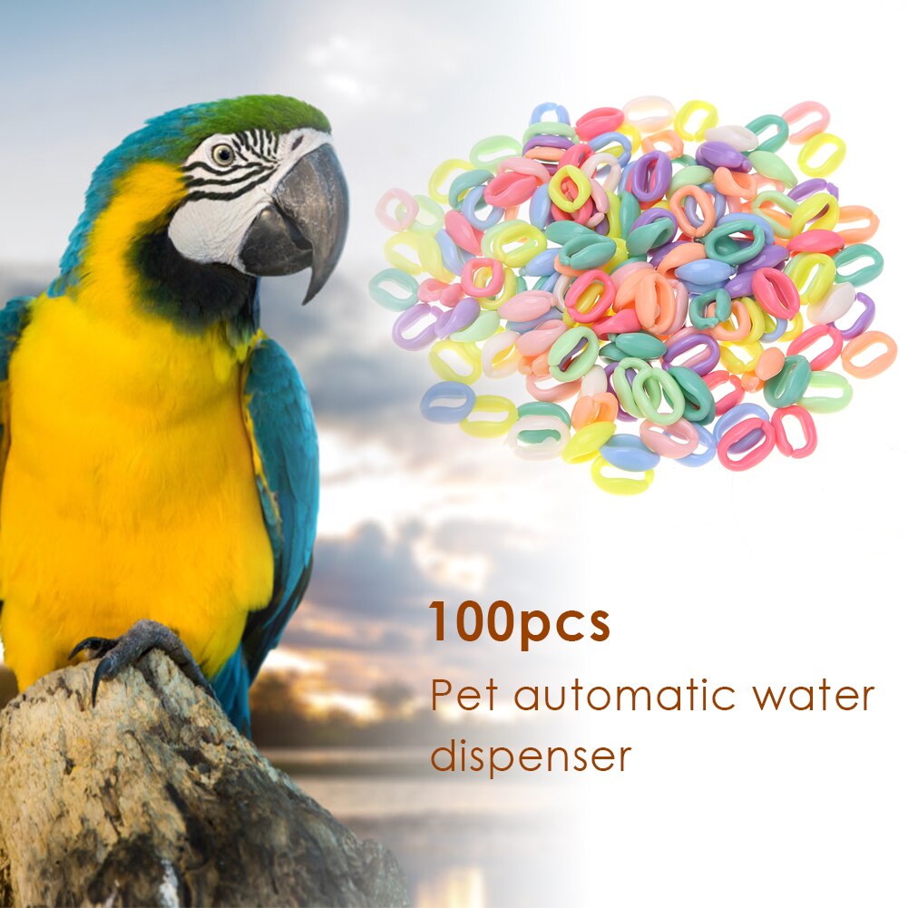 100Pcs Colorful Plastic Parrot C-clip Toy Bird Pla... – Grandado
