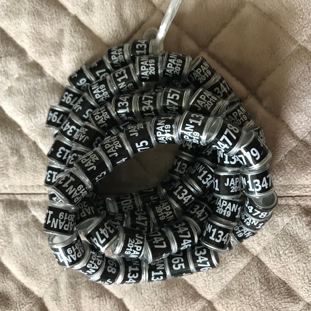 Japan black pigeon ring birds rings – Grandado