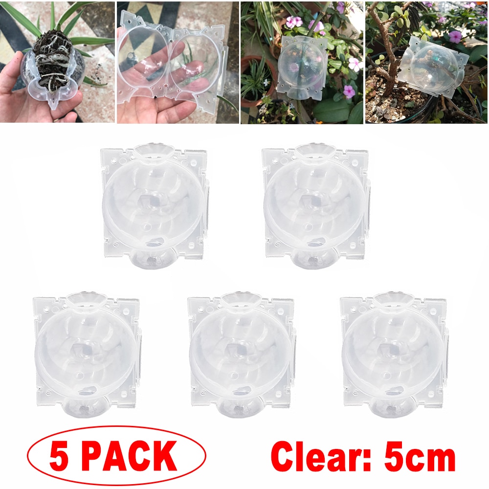 1/3/5/Pcs Plant Root Ball Visible Root Graft Growi... – Grandado