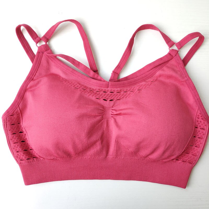 Nepoagym Women Colors Energy Seamless Sport Bra Pa... – Vicedeal