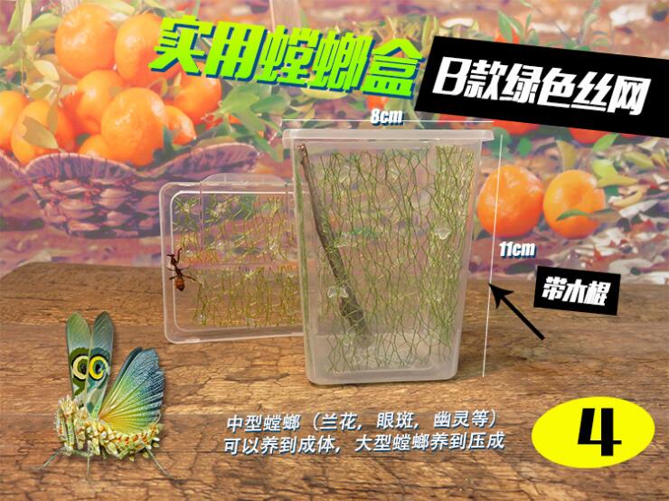 Plastic cubic mantis box crystal insect tank littl... – Vicedeal