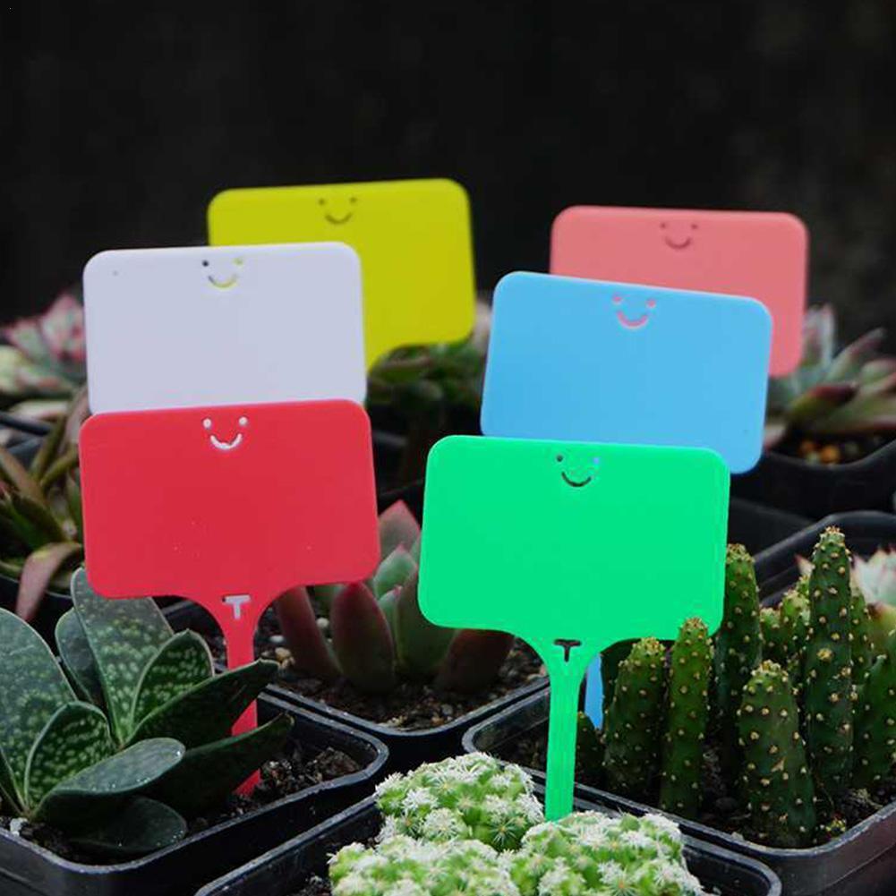100Pcs T Type Plant Labels Plant Markers Waterproo... – Grandado