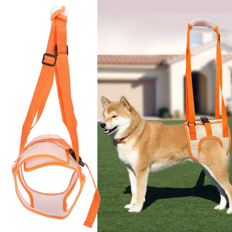 Pet Dog Lift Harness Rear Leg Dog Physiological Pa... – Grandado