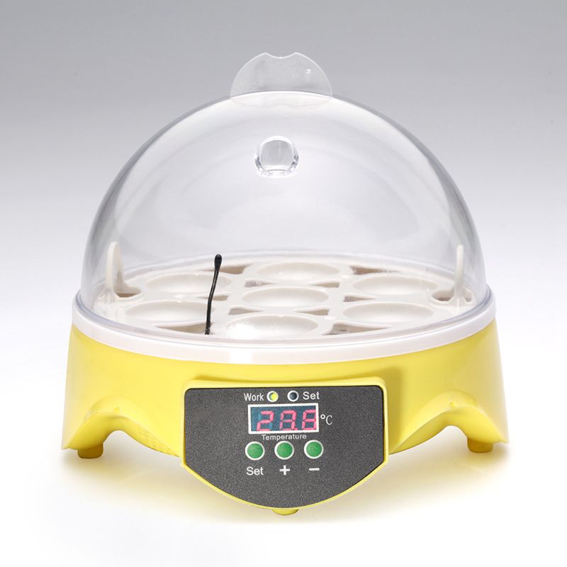 Mini 7 Egg Incubator Poultry Incubator Brooder Dig... – Grandado