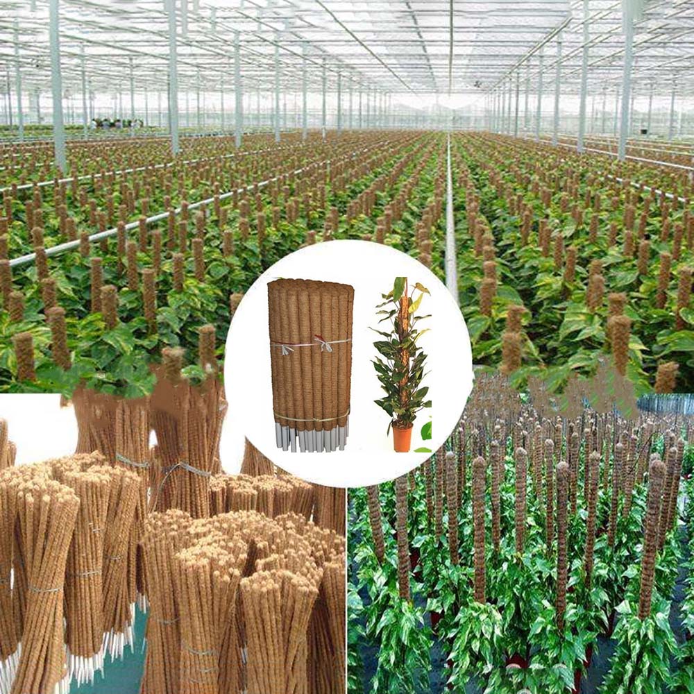 Home Support Coir Totem Pole Climbing Plants Stick... – Grandado