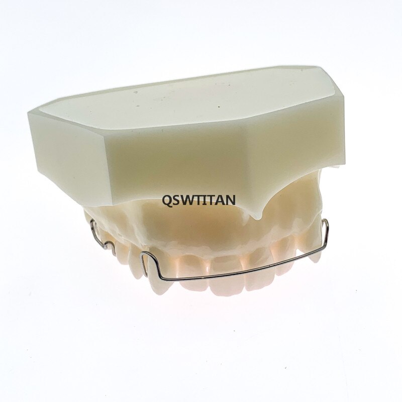 Retainer demo model Maxillary retainer tooth model... – Vicedeal