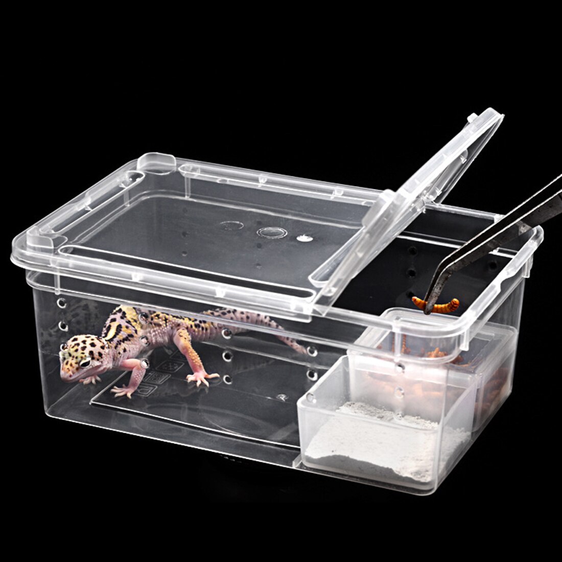 Petforu Reptile Plastic Feeding Box Lizard Spider ... – Grandado