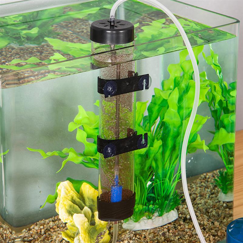 1pc Practical Durable Plastic Shrimp Hatching Box ... – Grandado