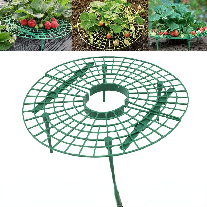 Strawberry Stand Frame Holder Balcony Planting Rac... – Grandado
