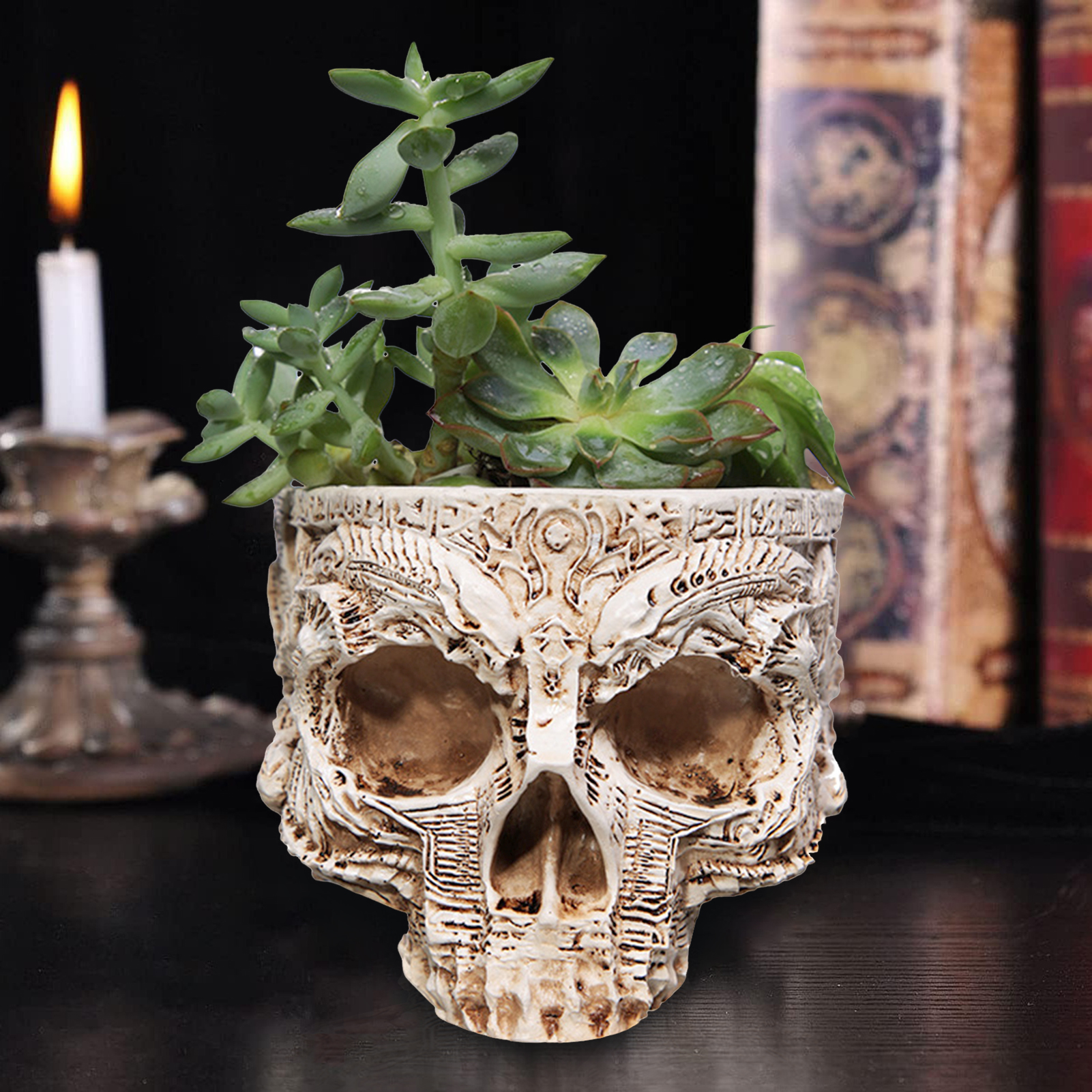 Halloween Schedel Bloempot Gotische Skelet Planter... – Vicedeal