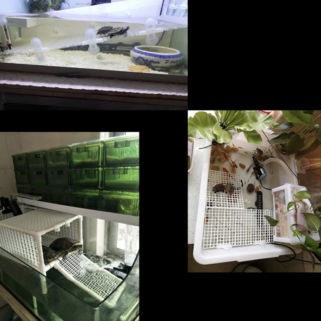 10 Pcs Grid Divider Tray Isolate Board Fish Tank B... – Vicedeal