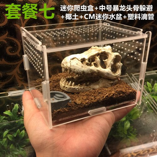 Acrylic Insect Cage with Accessories Spider Lizard... – Vicedeal