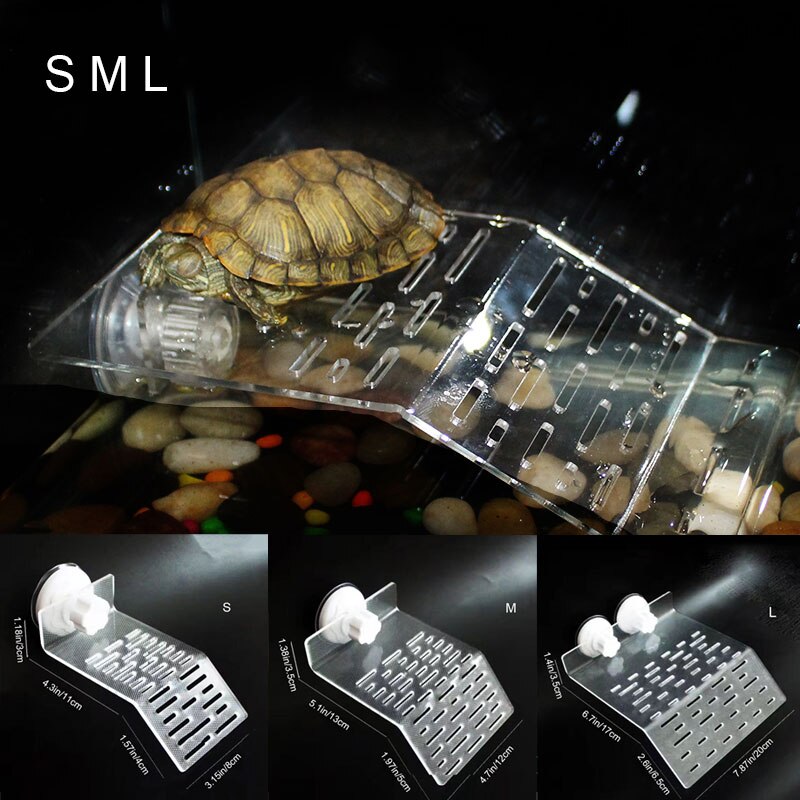 Schildpad Koesteren Terras Eiland Acryl Schildpad ... – Vicedeal