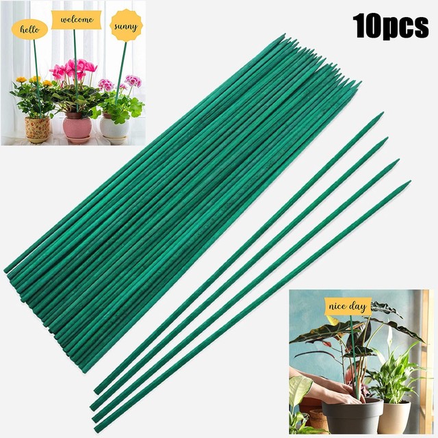 Bamboo Canes Plant Stake Bamboo For Flowers Plant ... – Grandado