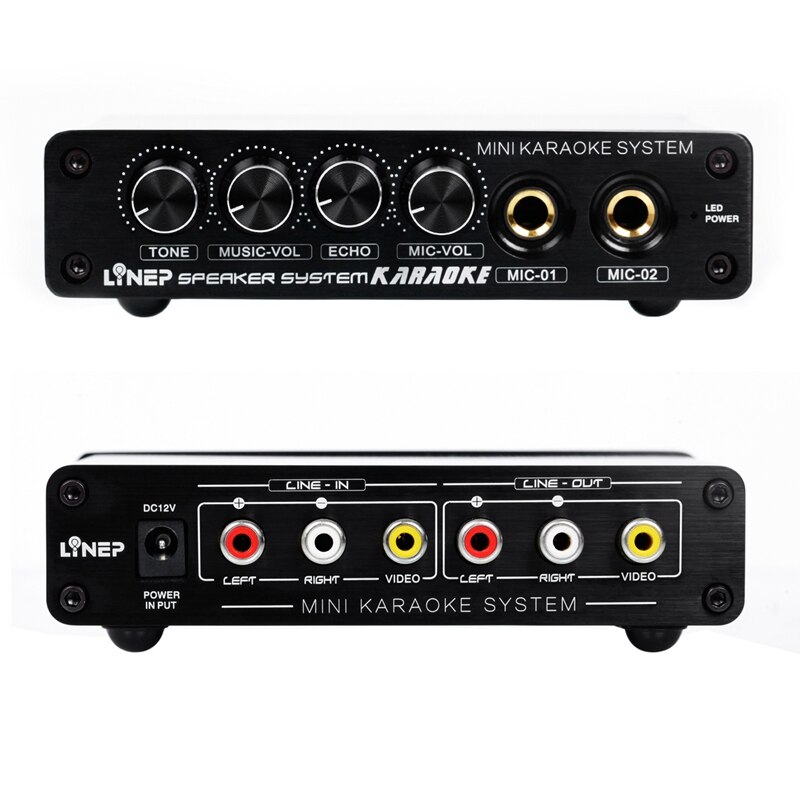 Lynepauaio Karaoke Tv/Mobile Dual-Microphone Mini ... – Vicedeal